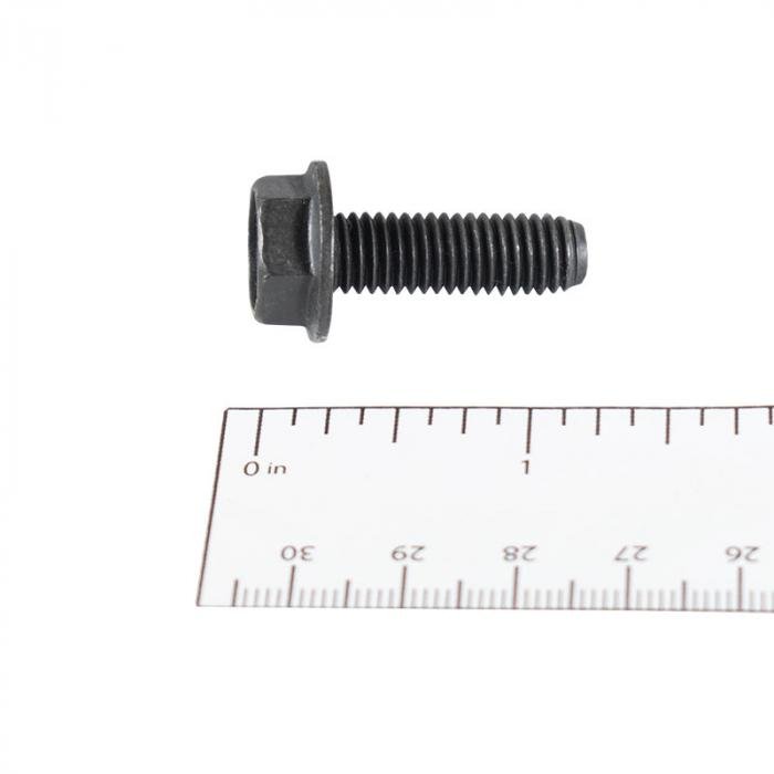 Dennis Carpenter Door Hinge Bolt Set 10 Bolts 1980 96 Ford Truck